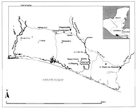 ARQUEOLOGIA | Preguntas y respuestas | SkyscraperCity Forum