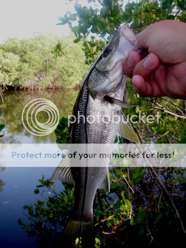 TWILES, LETS SEE SOME FL FISH PORN