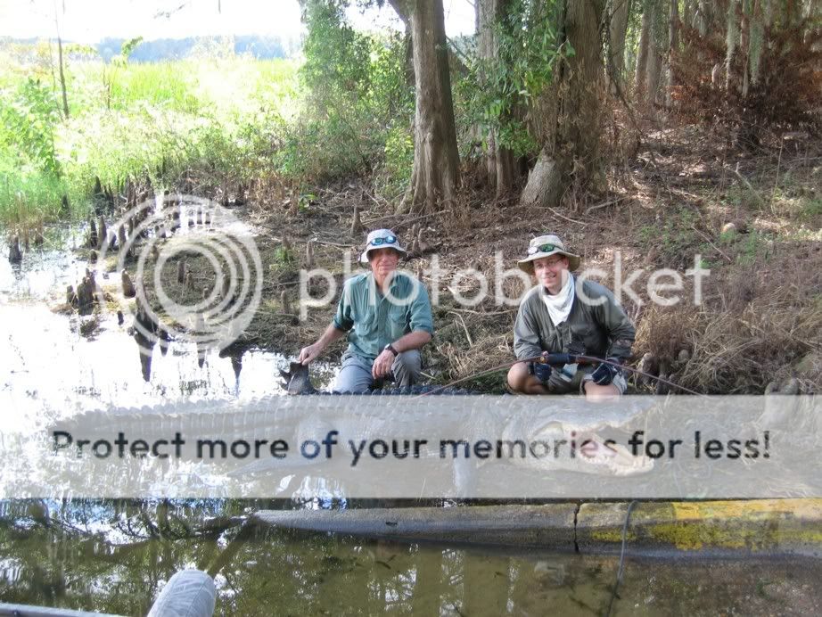 Lake Seminole Gator | GON Forum