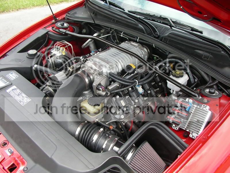 Weird Exhaust set up??? | Page 2 | Modded Mustang Forums